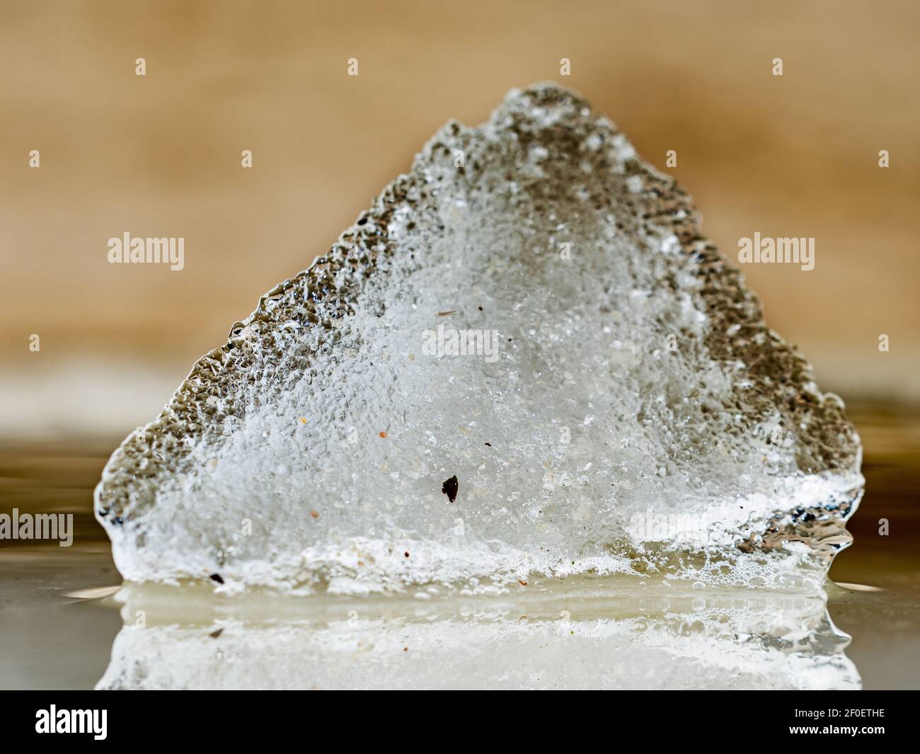 Sharp piece of ice floe. Structure of frozen bubbles in frozen artic ...