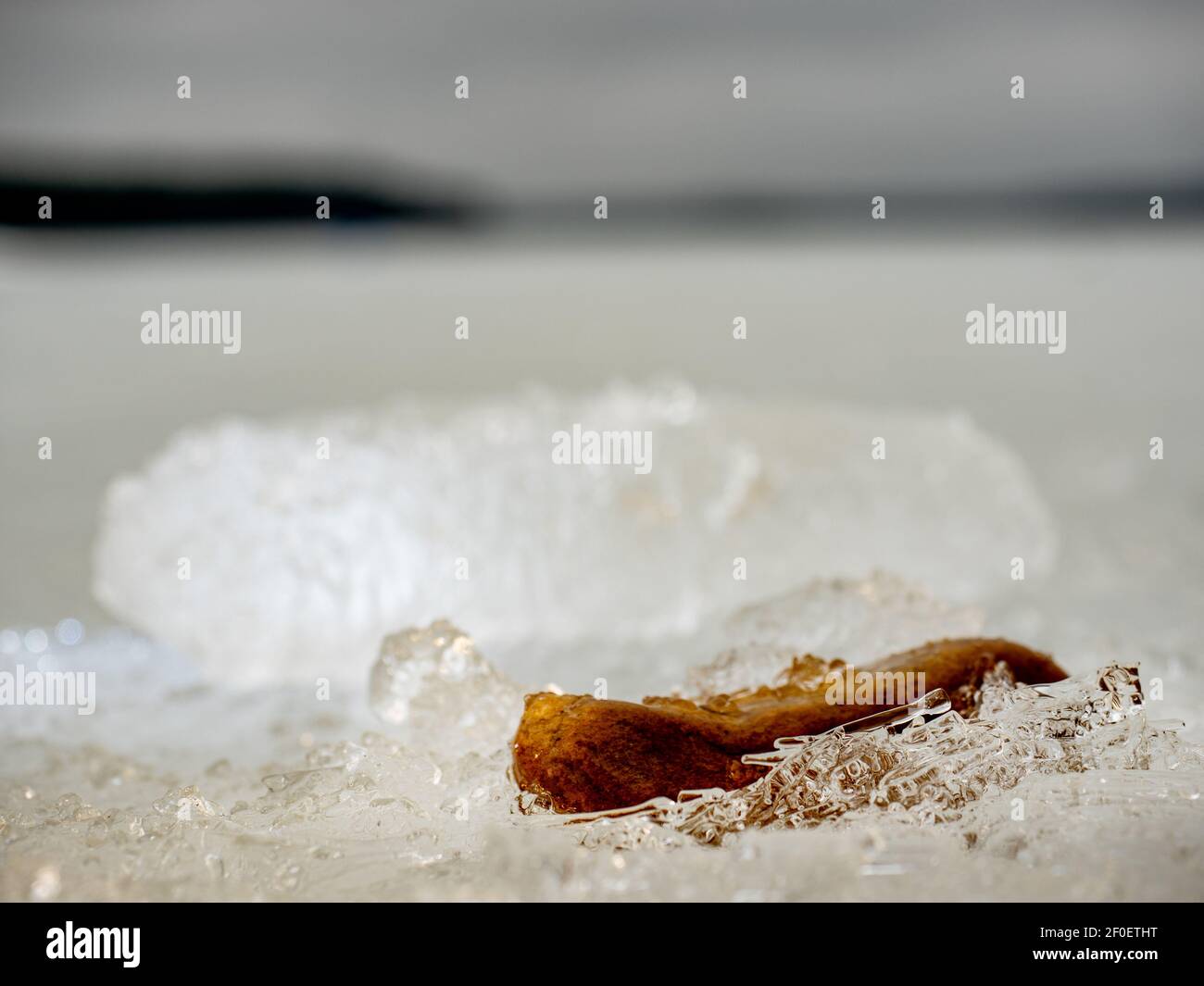 Melting Ice on the frozen ocean. Wet pool of melting and cracking icy ...