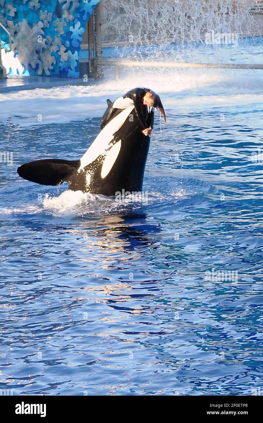 25 February 2010 - Orlando, Florida - A 40- year-old trainer at Sea ...