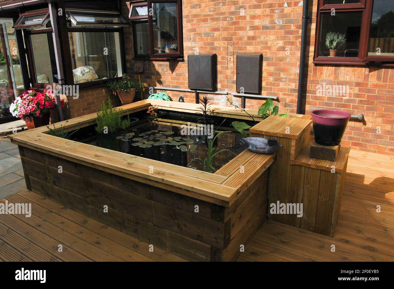 Plants in Garden and fish pond on patio water plants flowers wood pot ...