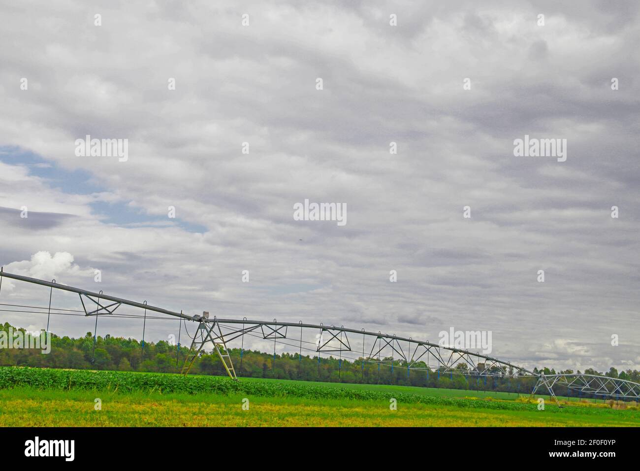 Farm land watering system with beautiful green plants Stock Photo - Alamy