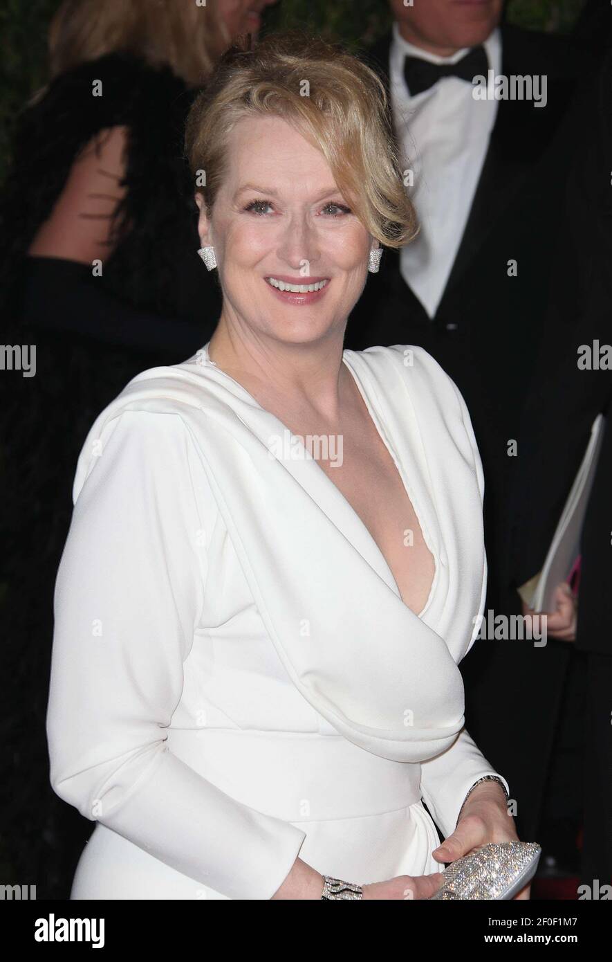 Meryl Streep - 7 March 2010 - Los Angeles, California - Vanity Fair ...