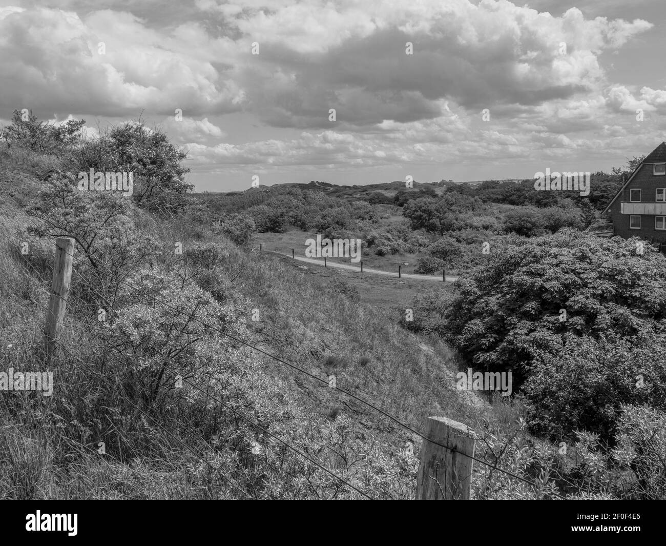 the island of baltrum Stock Photo - Alamy