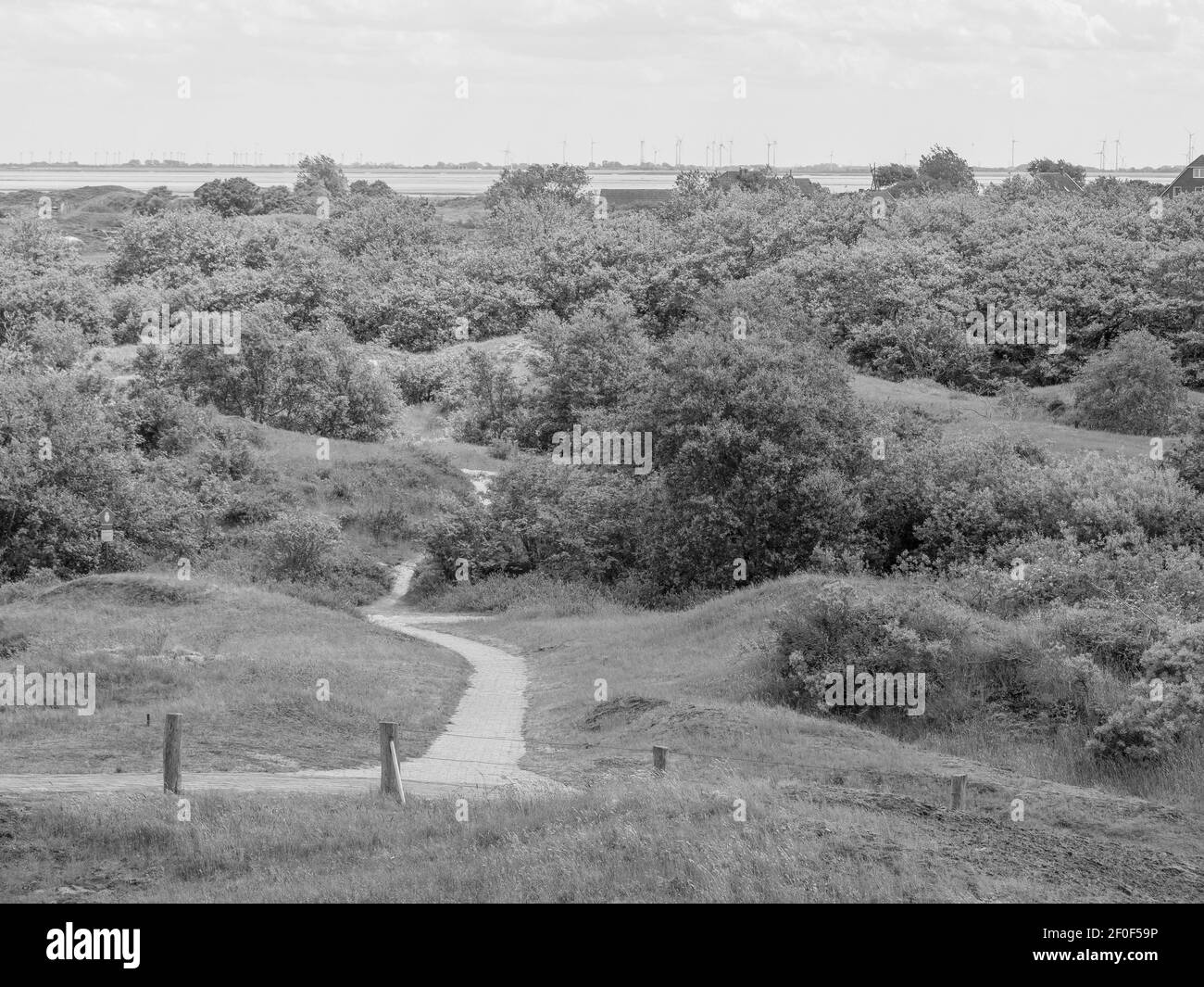 the island of baltrum Stock Photo - Alamy