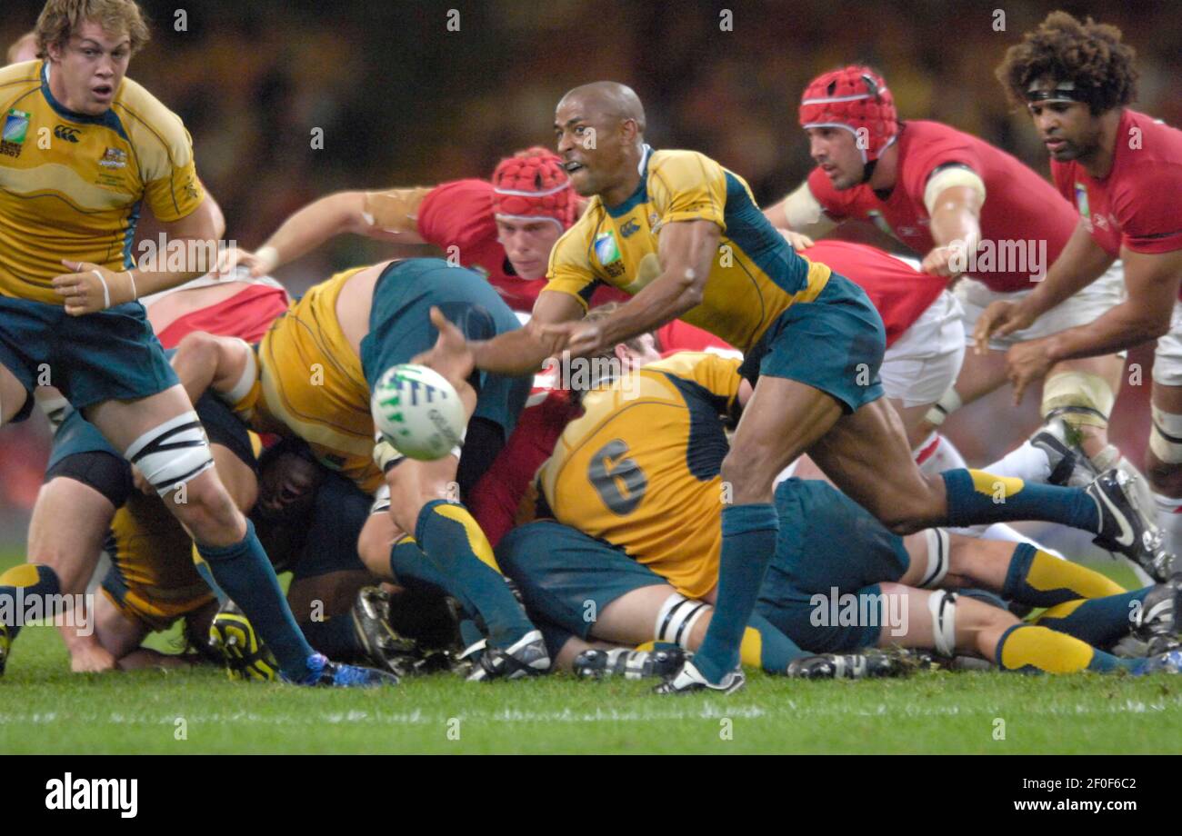 George gregan world cup hi-res stock photography and images - Alamy