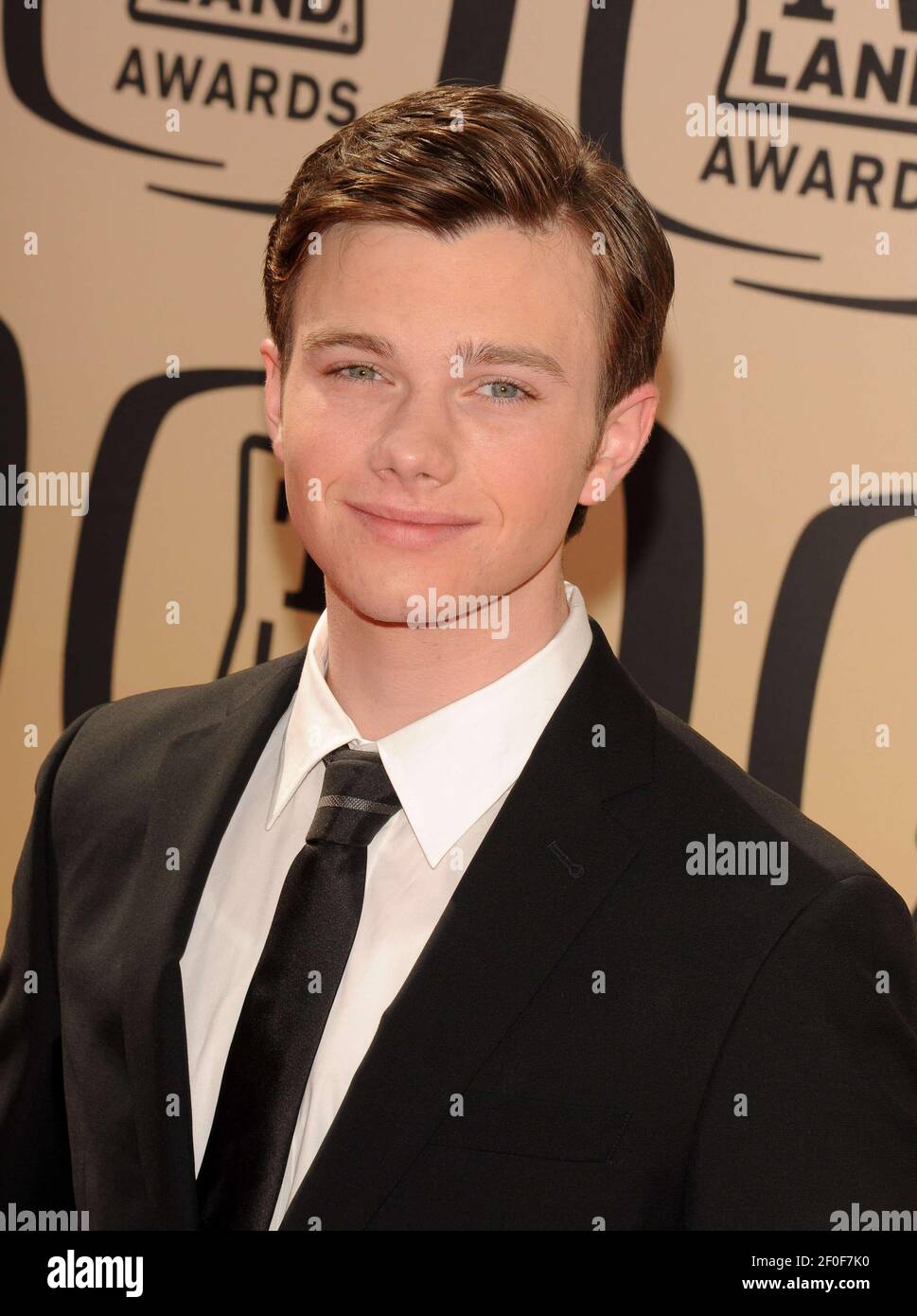 Chris Colfer. 17 April 2010, Culver City, CA. The 8th Annual TV Land ...
