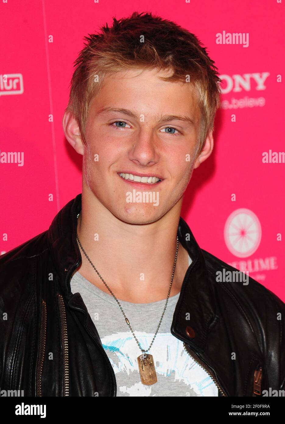 Alexander Ludwig Hot