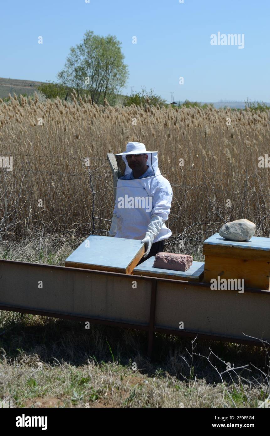 Ankara, Turkey - 2018: The beekeeper works with bees and beehives on ...