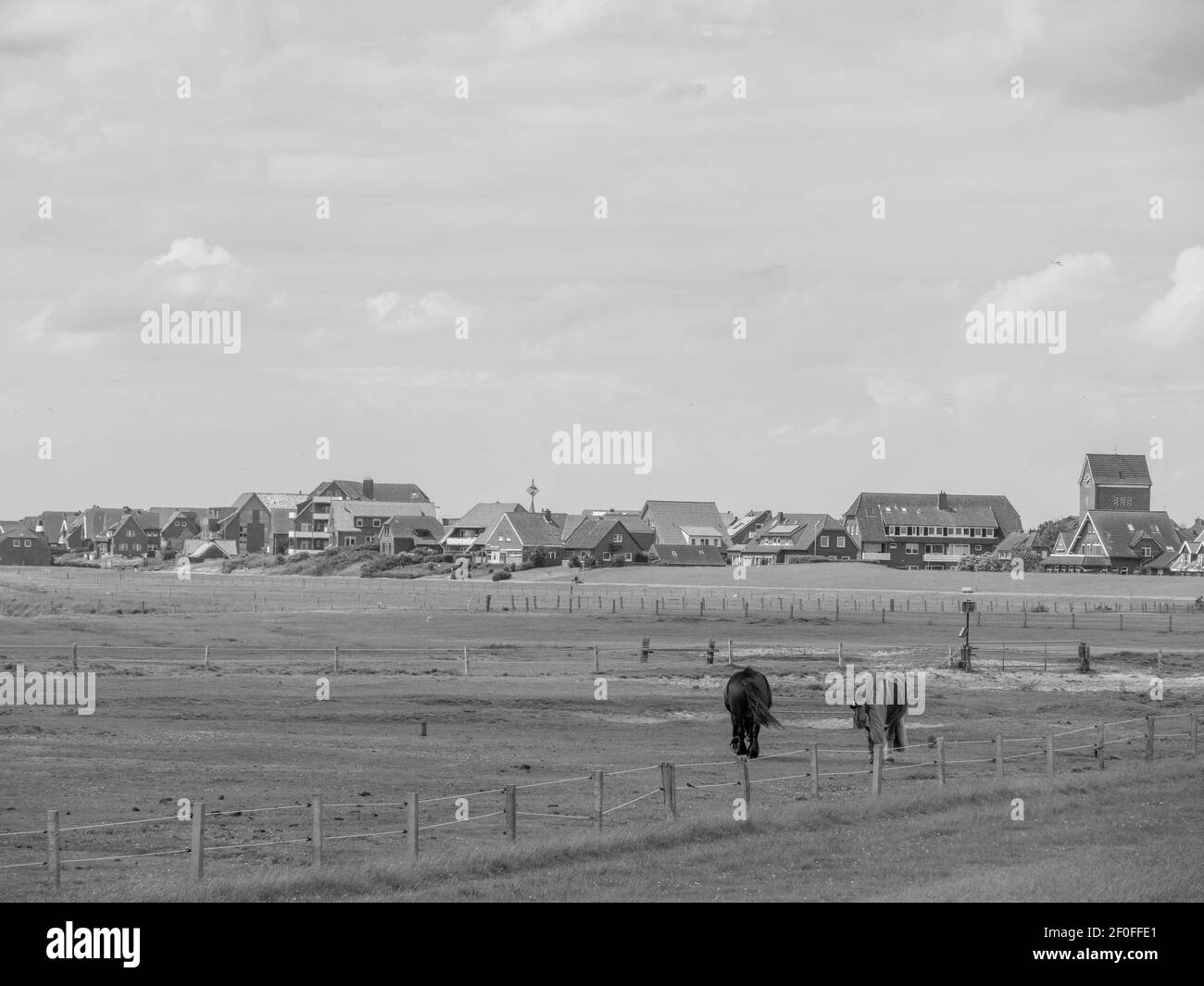 the island of baltrum Stock Photo - Alamy