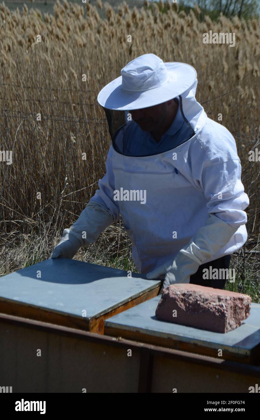 Ankara, Turkey - 2018: The beekeeper works with bees and beehives on ...