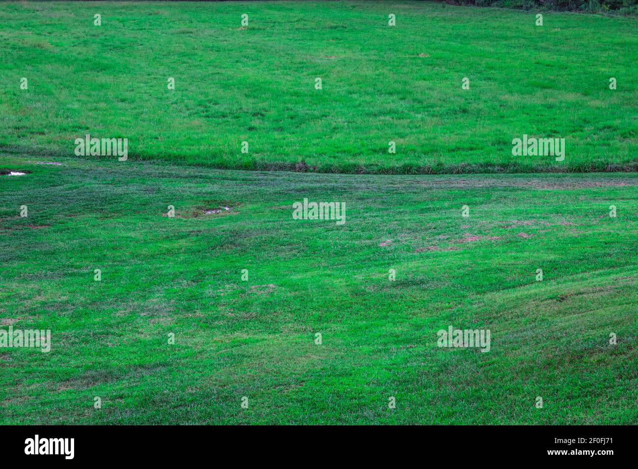 Green grass farm land pastures in the summer Stock Photo - Alamy