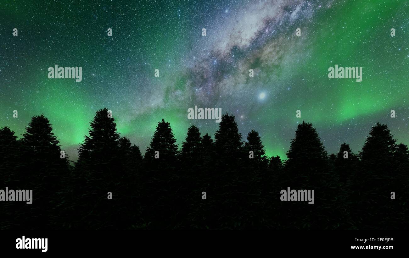 Polar lights in forest loop hi-res stock photography and images - Alamy