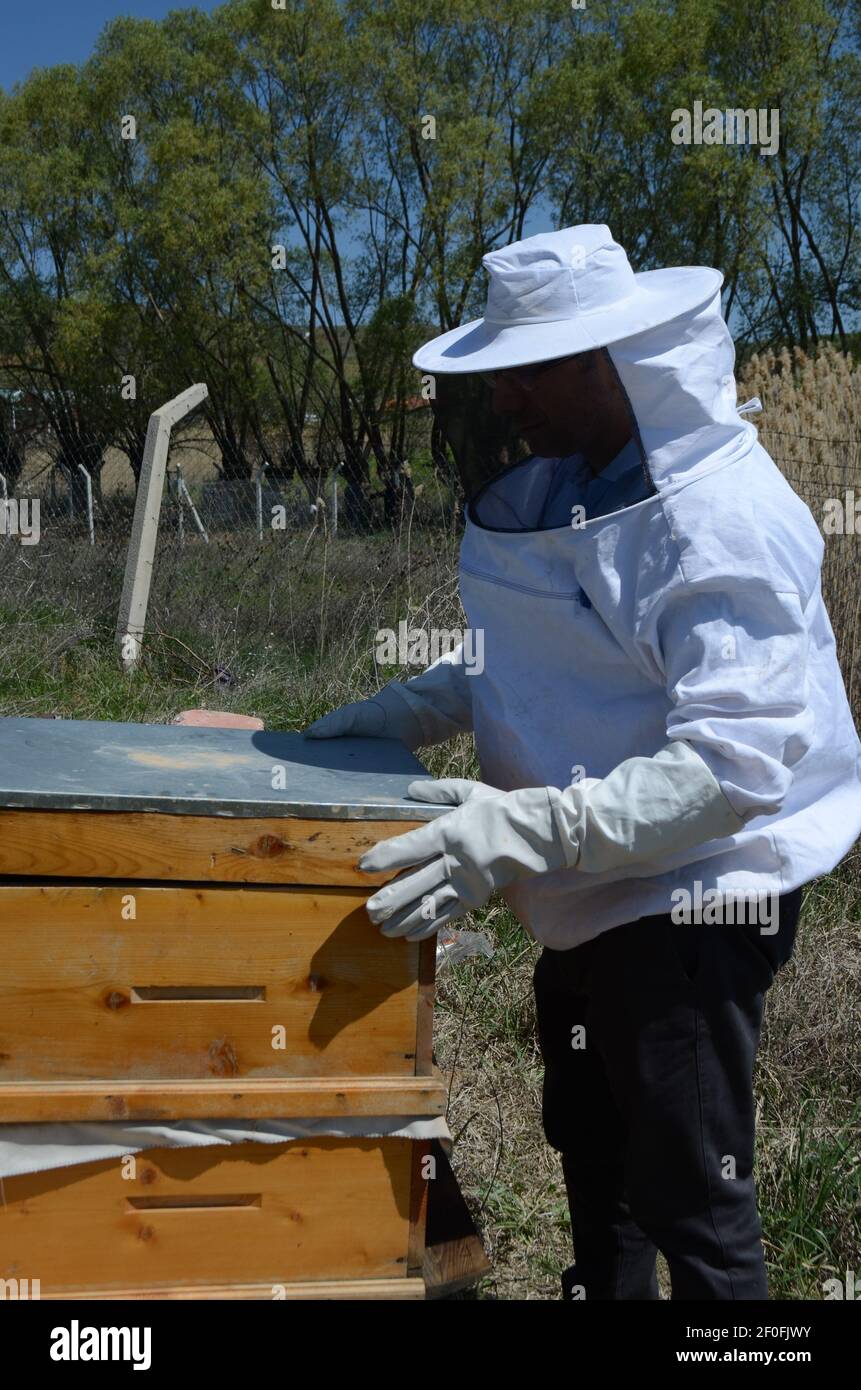 Ankara, Turkey - 2018: The beekeeper works with bees and beehives on ...