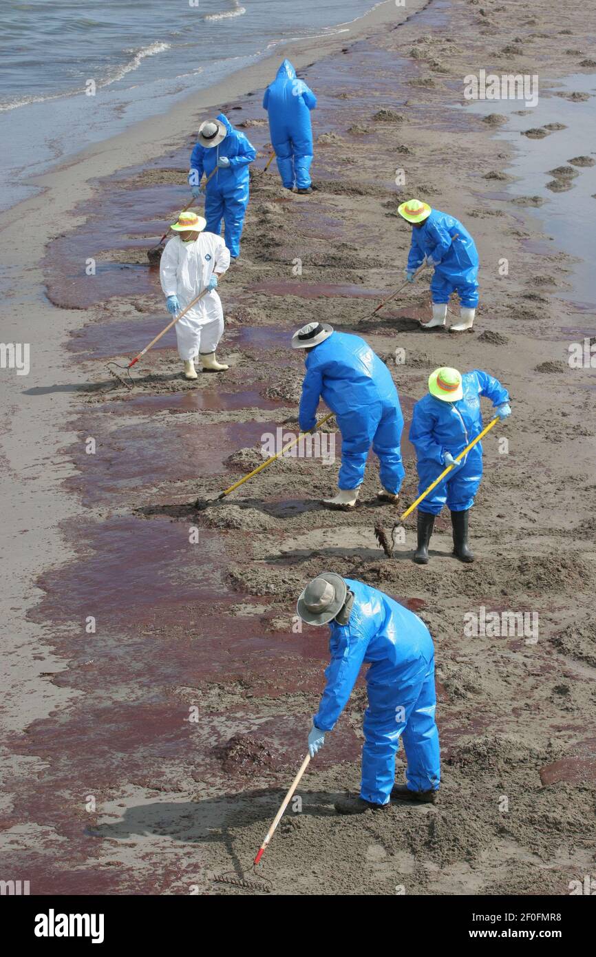 4th June 2010 - Grand Isle, Louisiana - Clean up crews tackle the task ...
