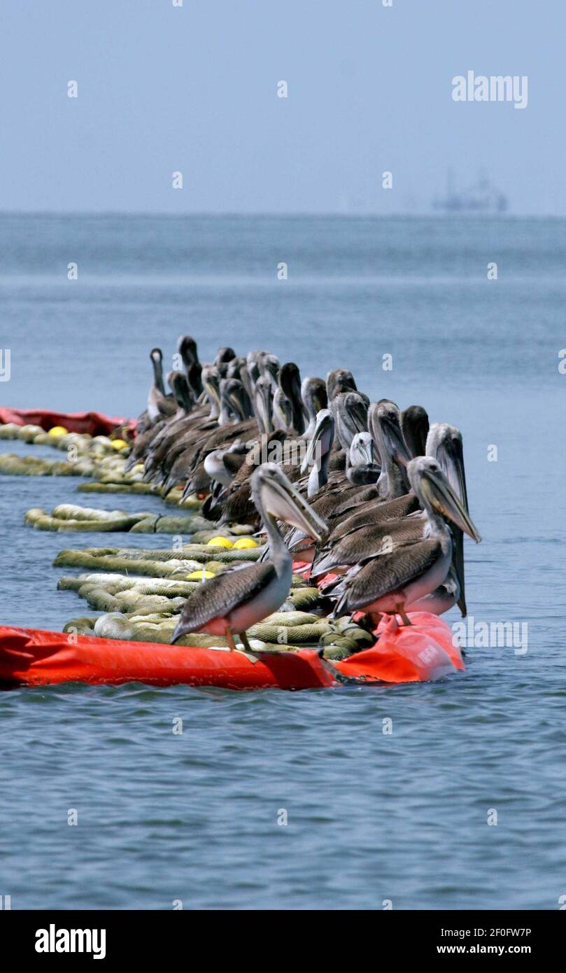 Man black tar boat hi-res stock photography and images - Alamy