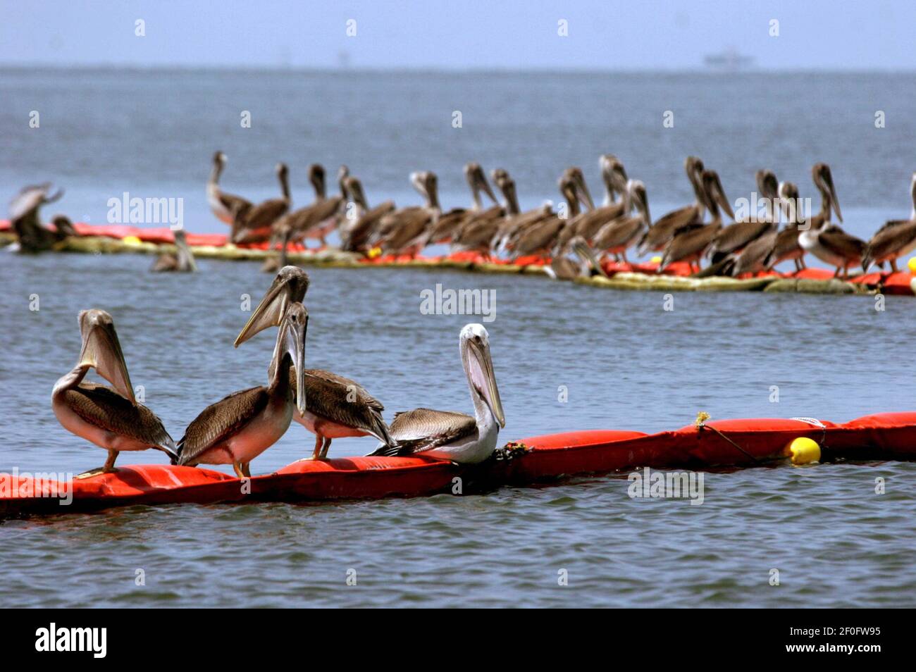 Man black tar boat hi-res stock photography and images - Alamy