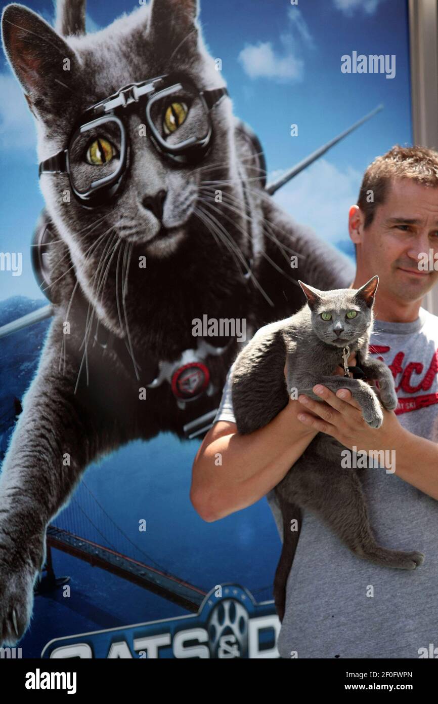 25 July 2010- Hollywood, California- Catherine the cat arrives to the ...