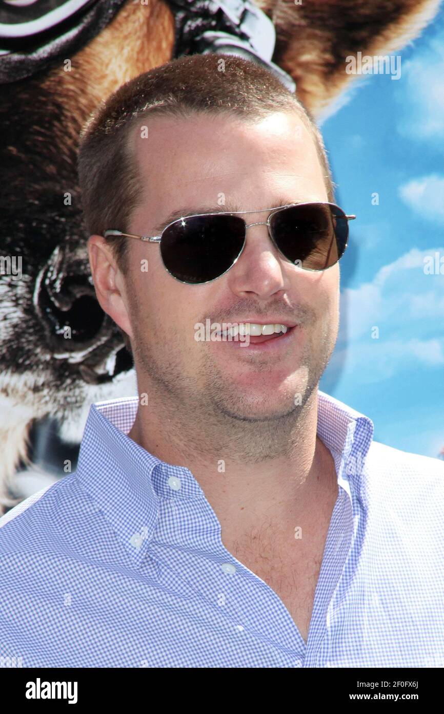 25 July 2010- Hollywood, California- Actor Chris O'Donnell arrives at ...