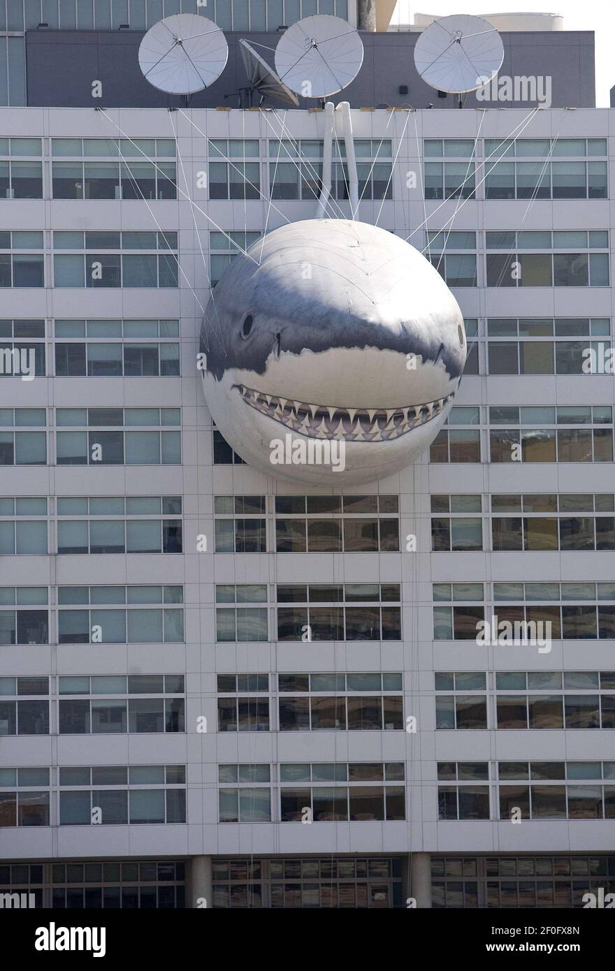 23 July 2010 - Silver Spring, Maryland - A large shark head, fins and ...