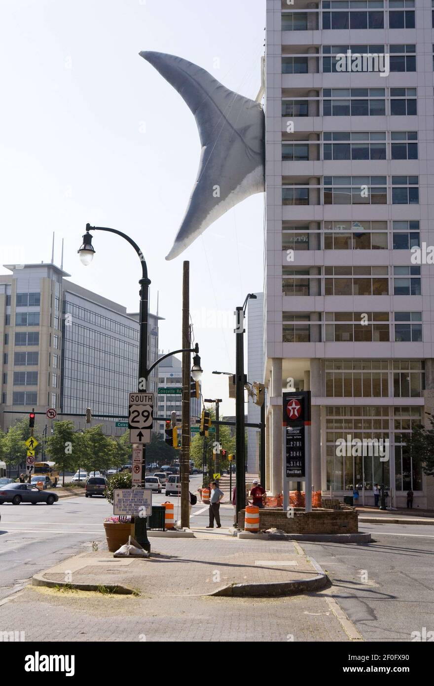 23 July 2010 - Silver Spring, Maryland - A large shark head, fins and ...