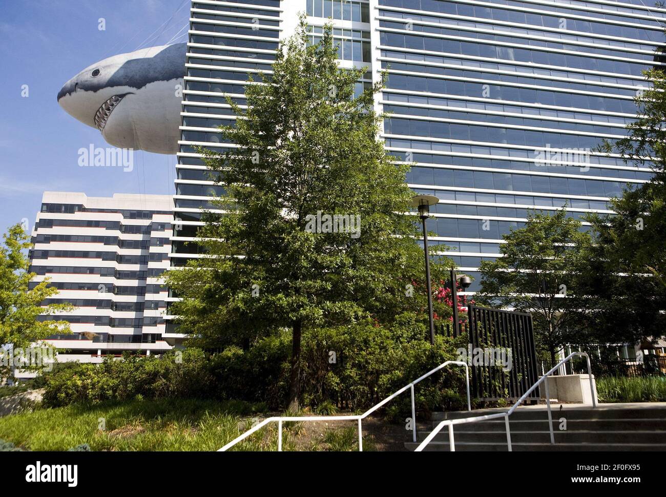 23 July 2010 - Silver Spring, Maryland - A large shark head, fins and ...