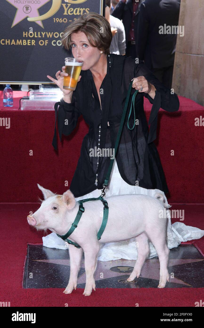 6 August 2010 - Hollywood, CA - With a pint and a pig, actress Emma ...