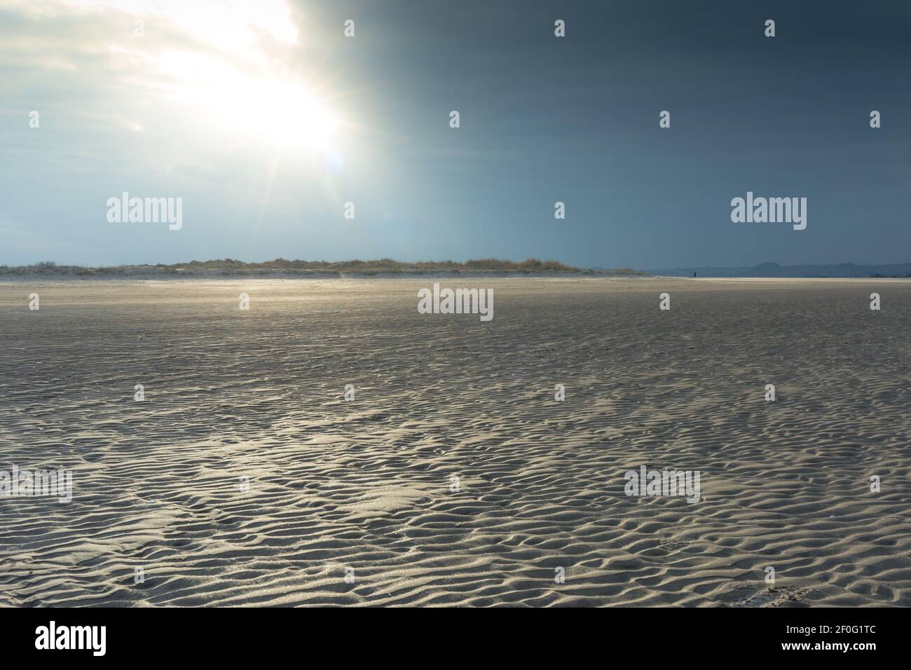 Colour photograph of sunlight on a beach with foreground details in the ...