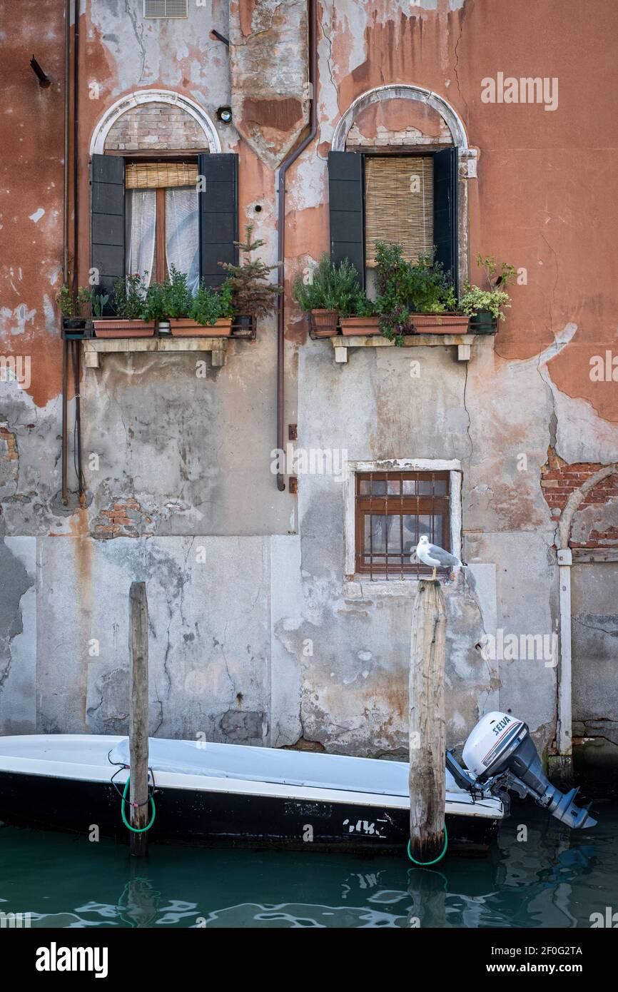 Venice, Italy. The crumbling facade of a canal side building Stock ...