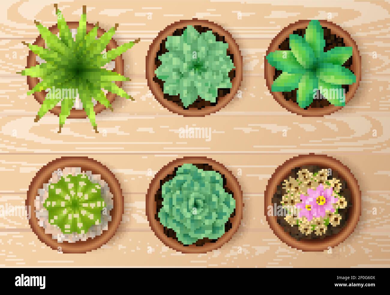 Colored isolated top view plant icon set with green flowers on wooden ...