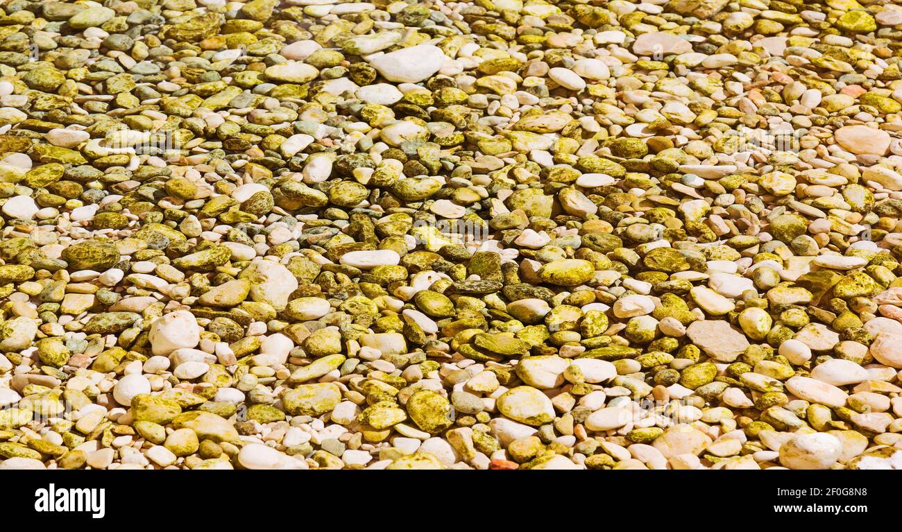 In oman old river and stone Stock Photo - Alamy