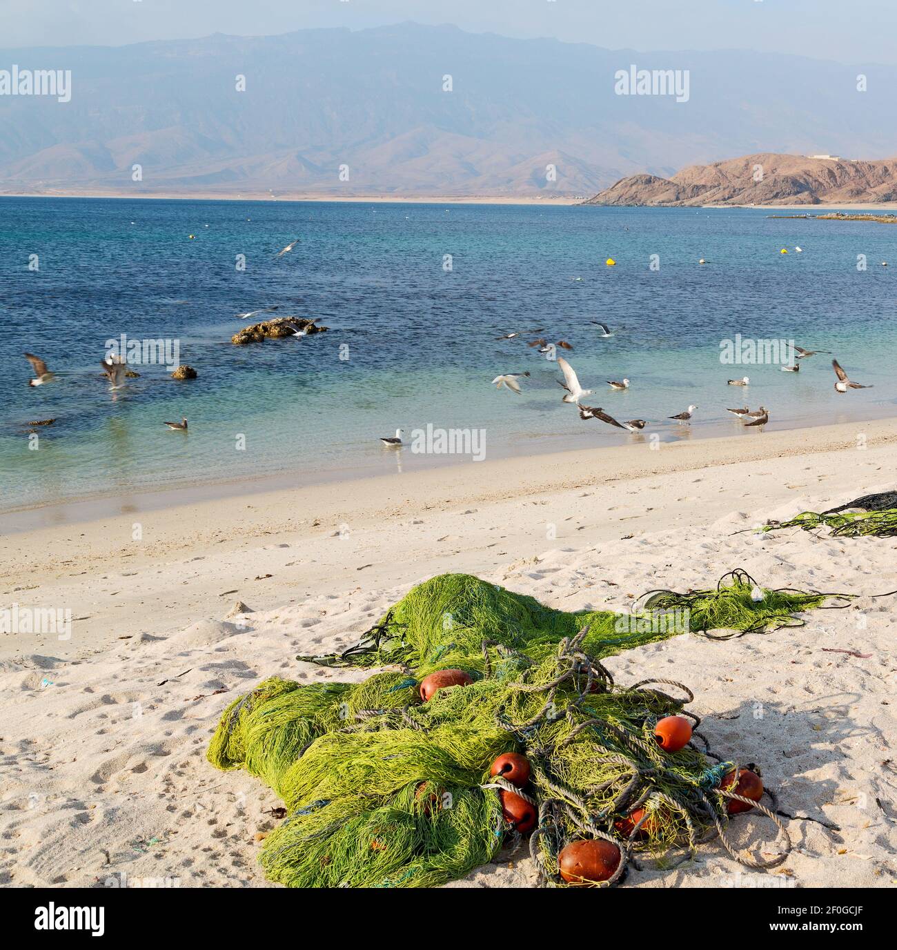 In oman arabic sea sandy beach Stock Photo - Alamy