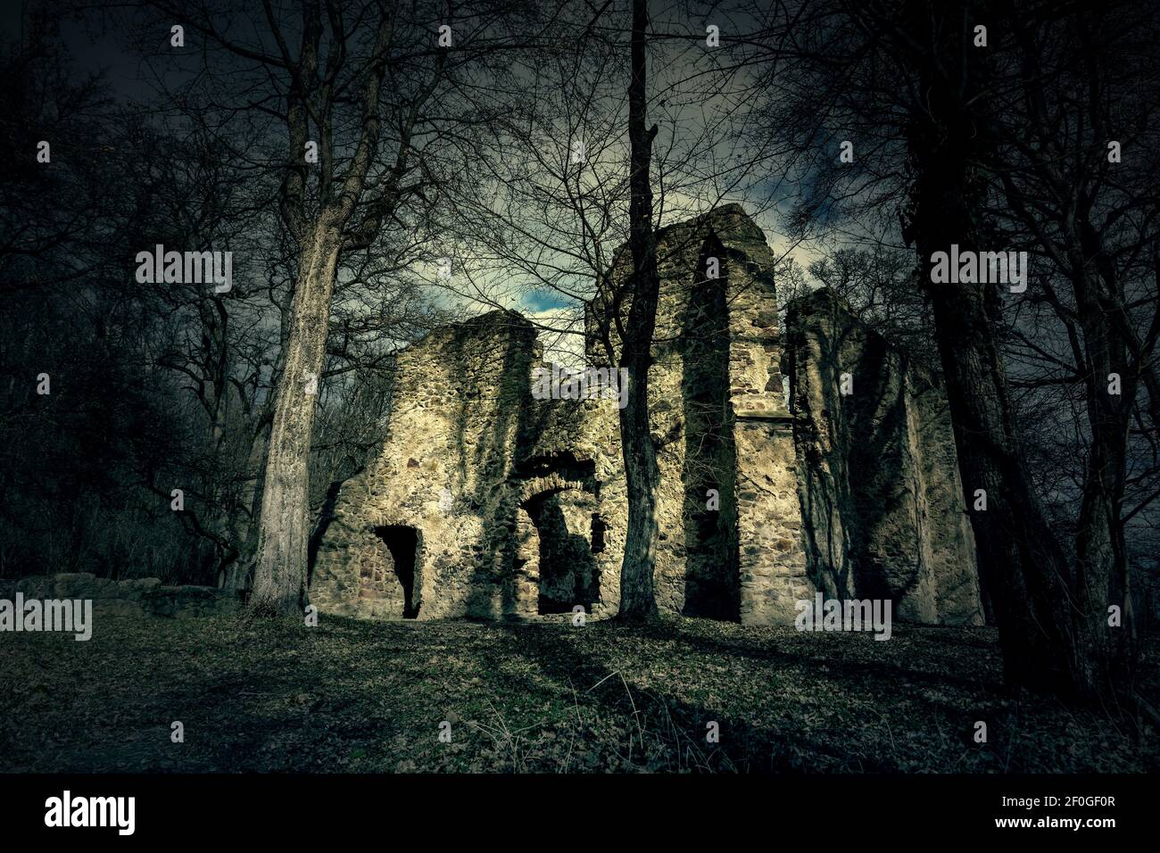 mystery eerie fortress stronghold in the dark forest Stock Photo - Alamy