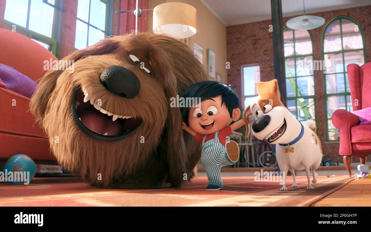 Secret Life High Resolution Stock Photography and Images - Alamy