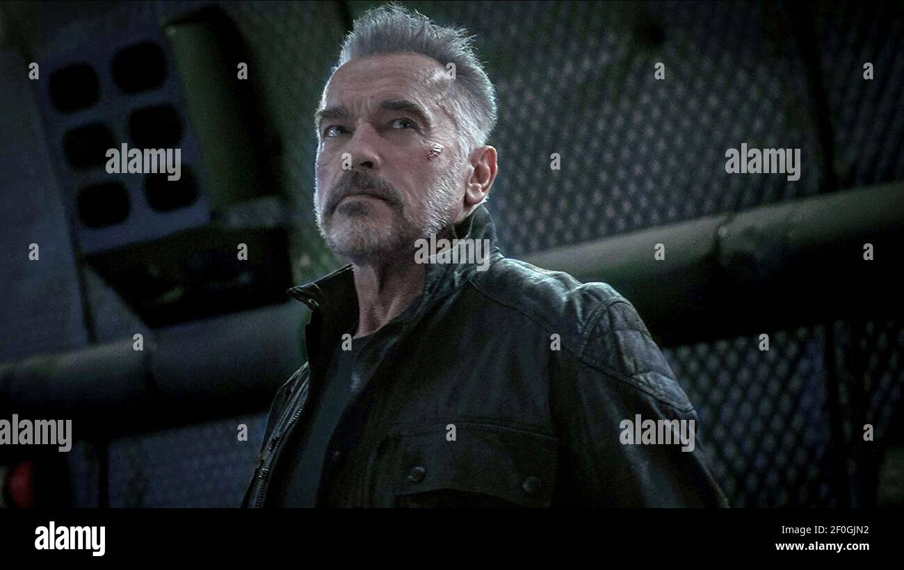 The Terminator Arnold Schwarzenegger High Resolution Stock Photography ...