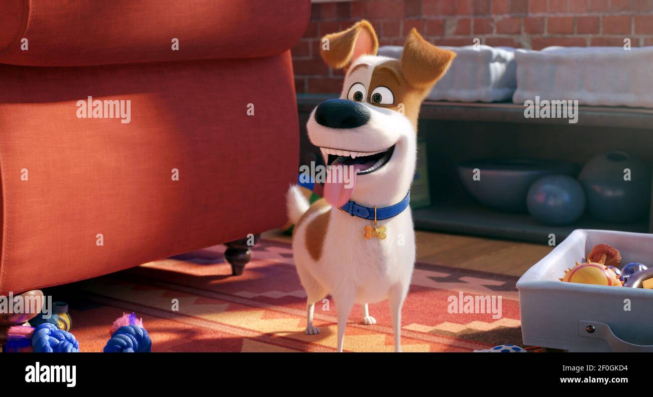 The Secret Life Of Pets 2 2019 High Resolution Stock Photography and ...