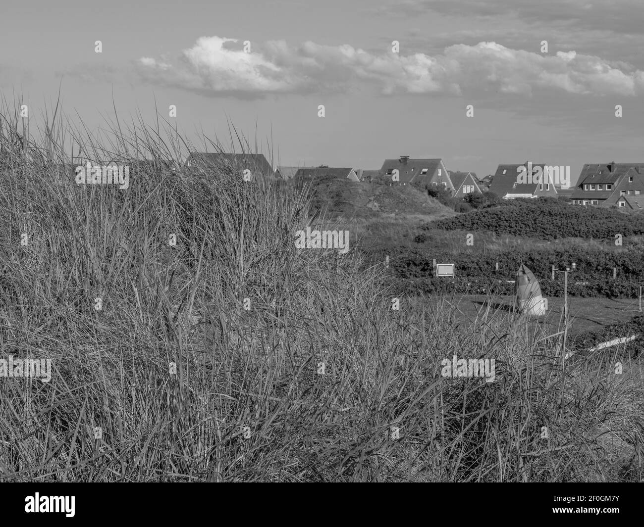 the island of baltrum Stock Photo - Alamy