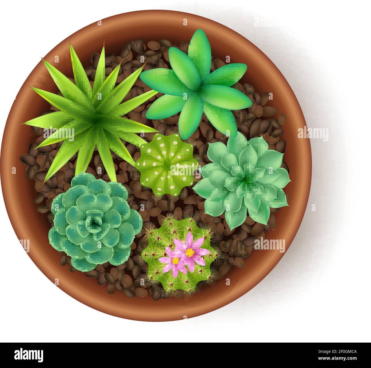 Big pot composition with several different flowers in the ground and in ...