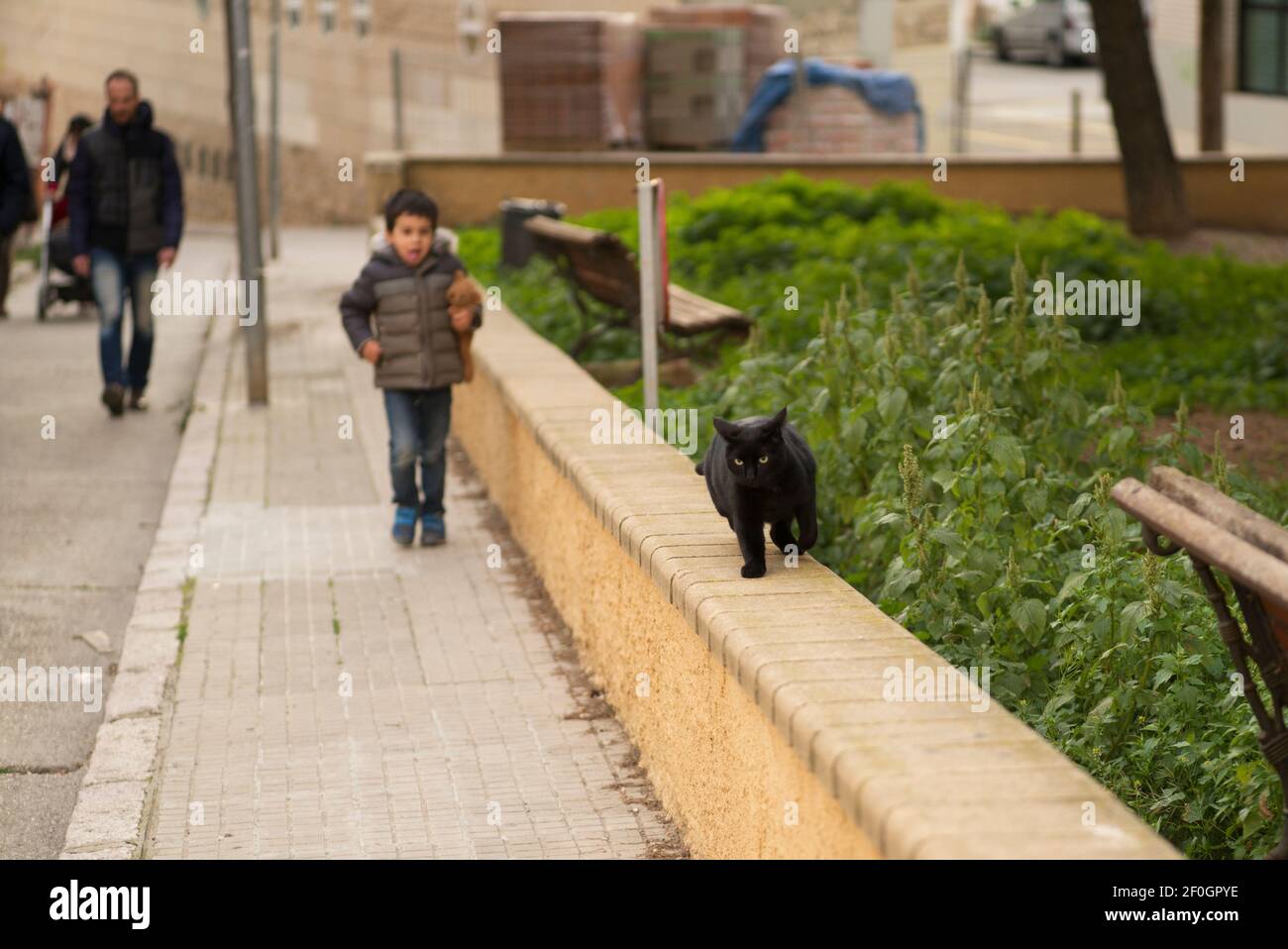 Boy chasing cat hi-res stock photography and images - Alamy