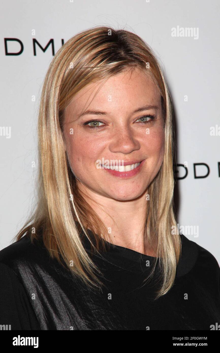 18 November 2010 - Los Angeles, CA - Amy Smart arrives to the In Add ...
