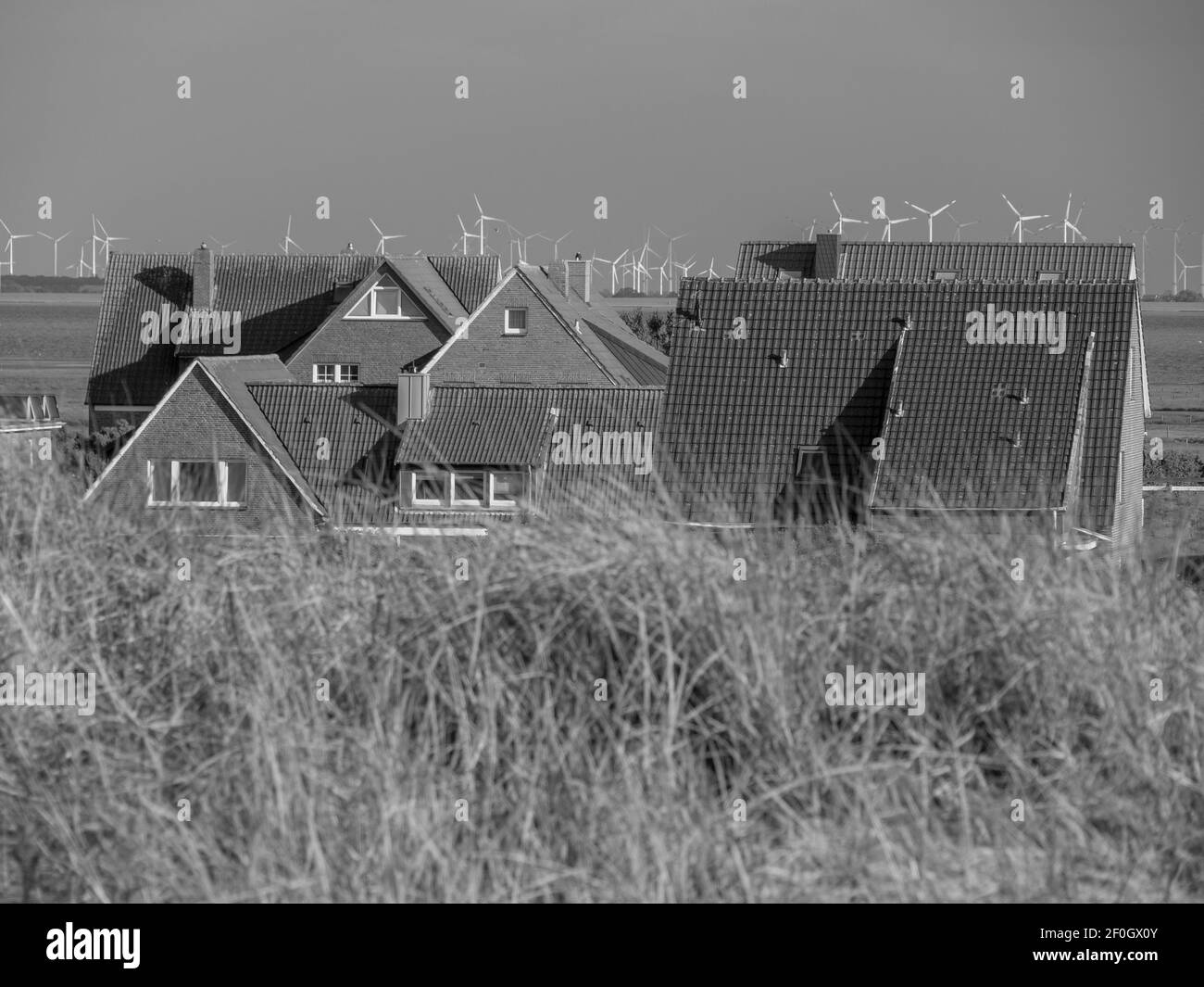 the island of baltrum Stock Photo - Alamy