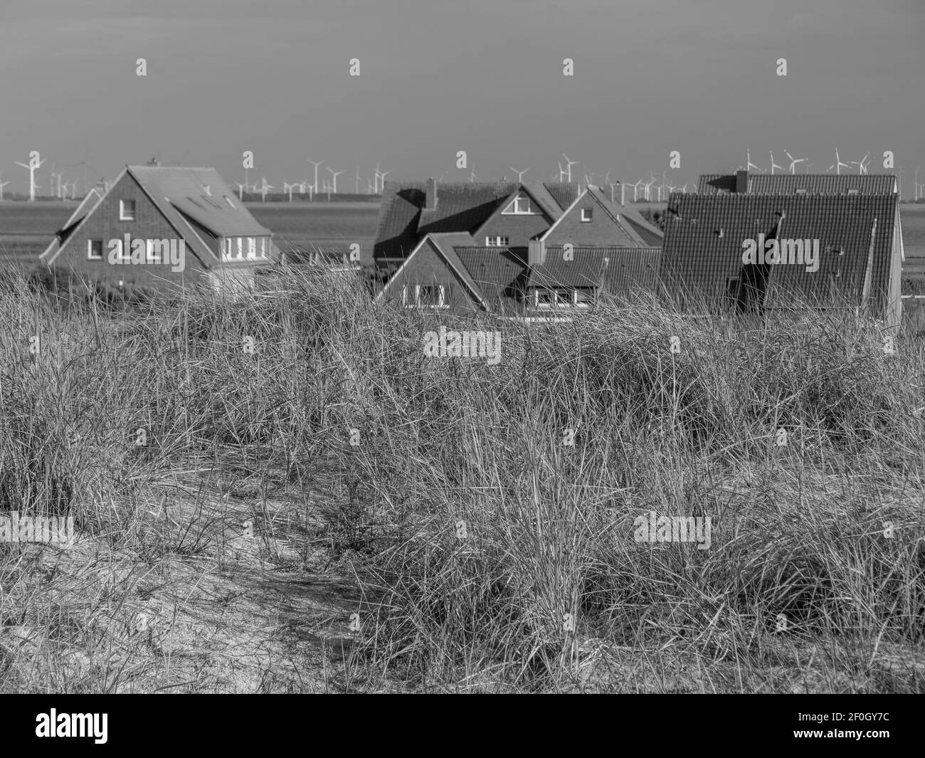 the island of baltrum Stock Photo - Alamy
