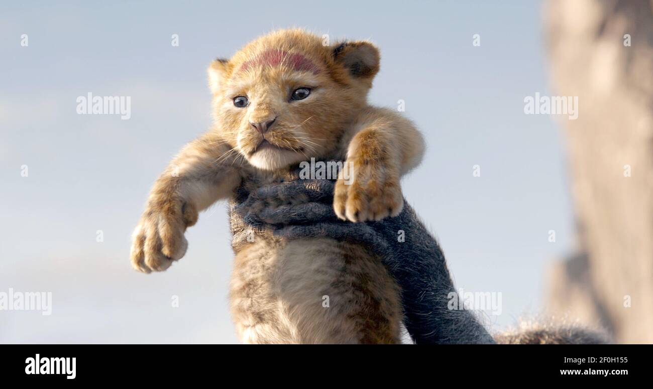Lion King High Resolution Stock Photography and Images - Alamy