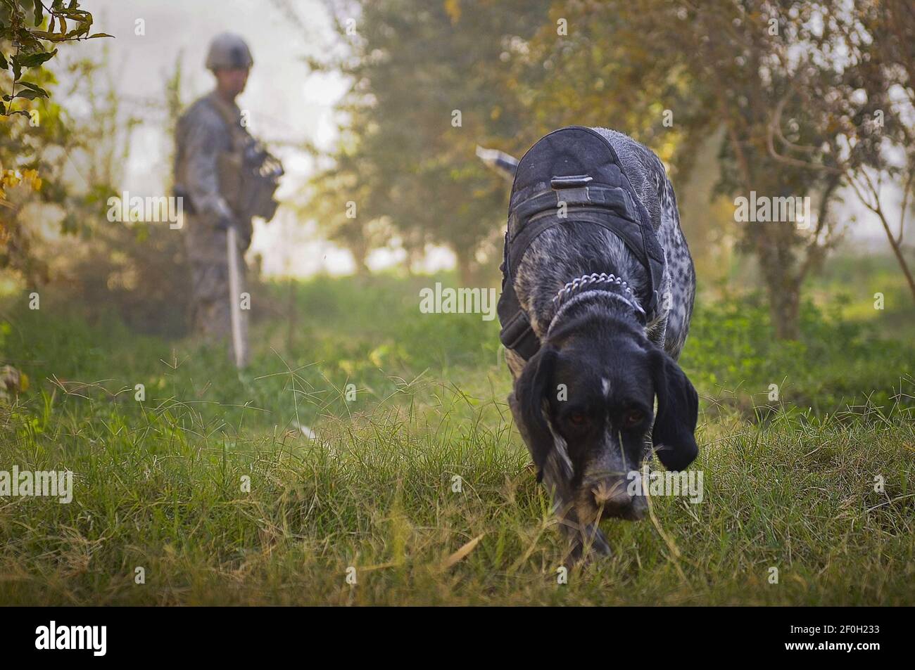 30 November 2010 - Kandahar, Afghanistan - U.S. Army Spc. David Walls ...