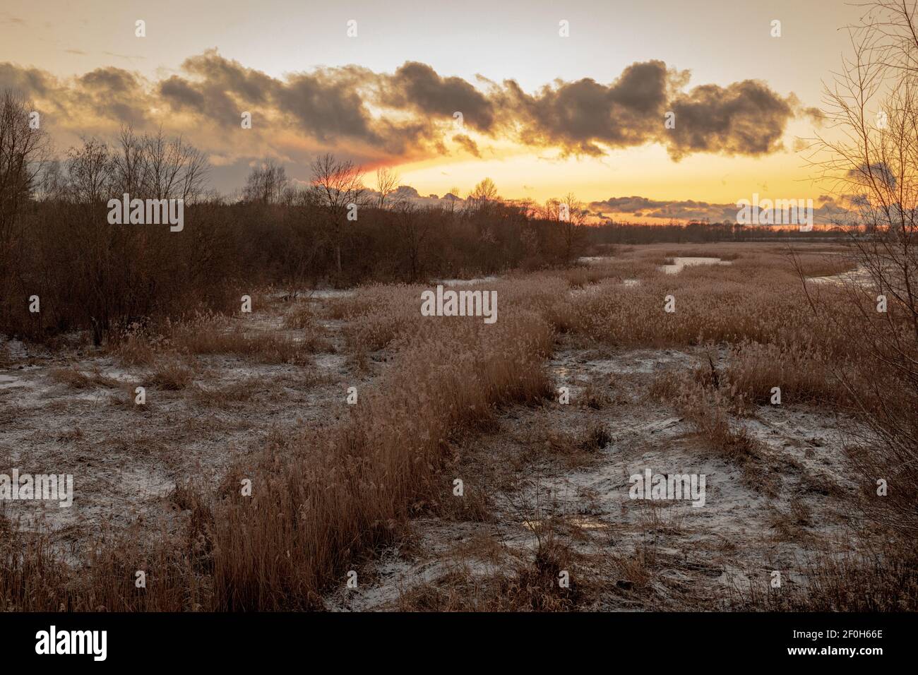 Beautiful field trees sunset spring hi-res stock photography and images ...