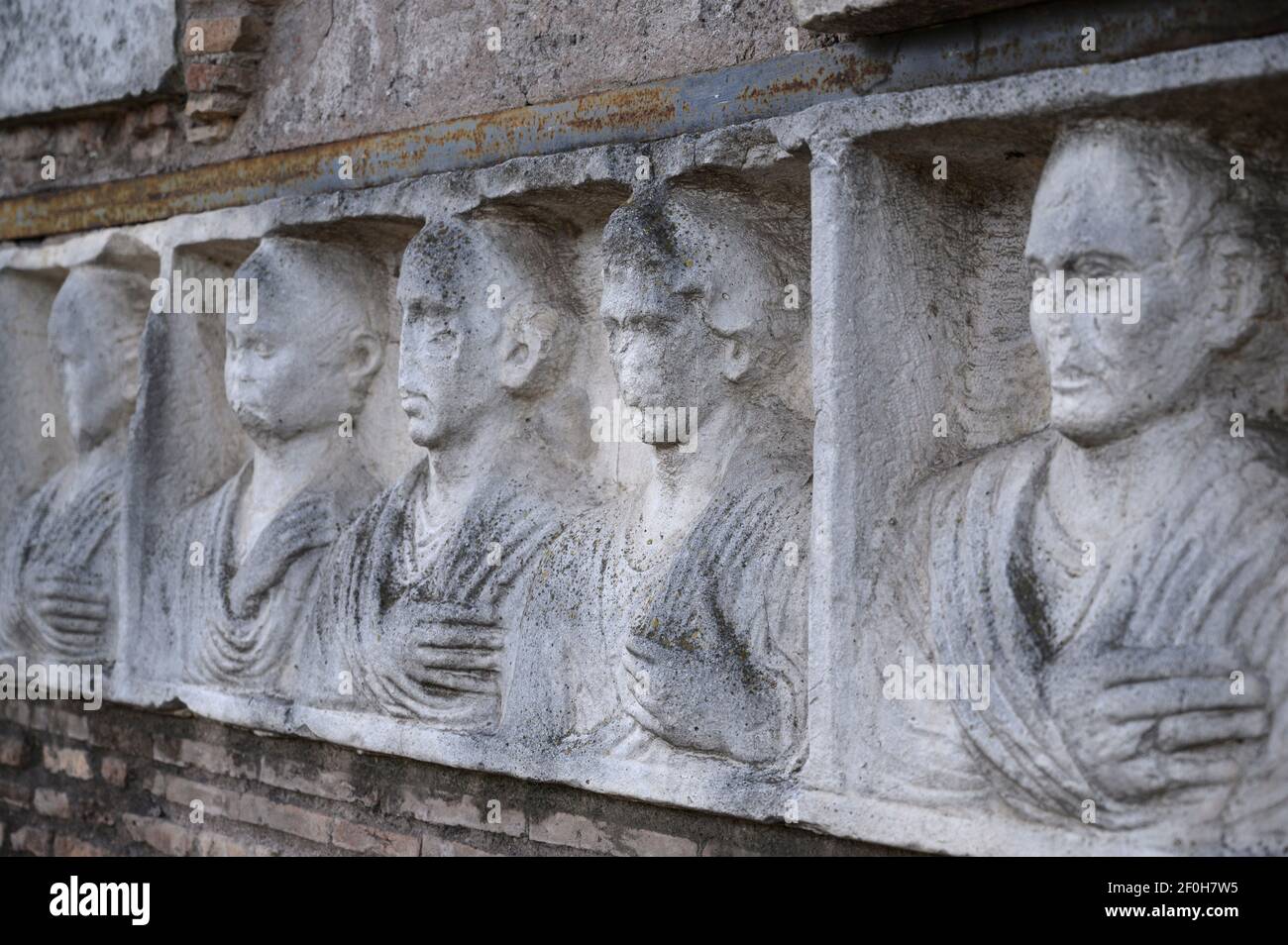Tomba di hilarus fuscus hi-res stock photography and images - Alamy