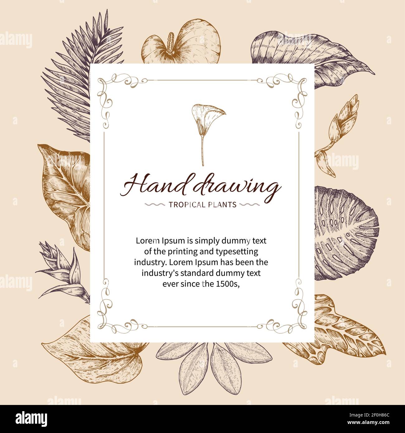 Tropical plants letter template with frame calligraphic title on beige ...