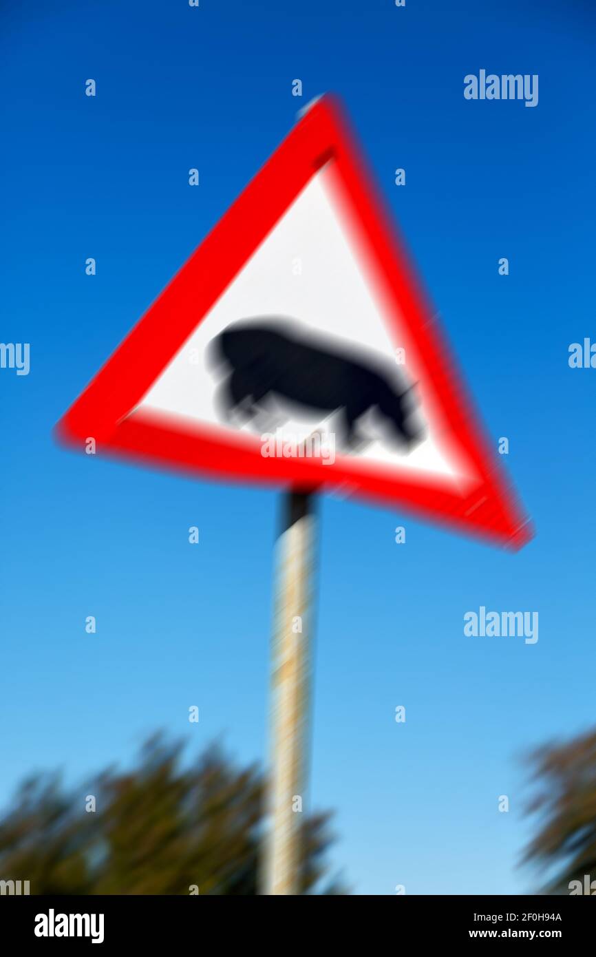 In south africa close up of the hippopotamus sign Stock Photo - Alamy