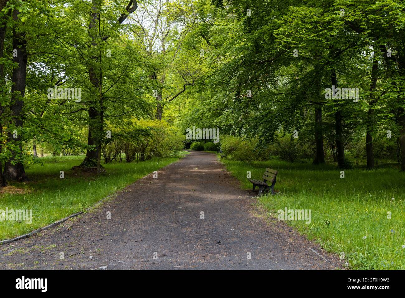 Long path with trees and bushes and benches on side Stock Photo - Alamy