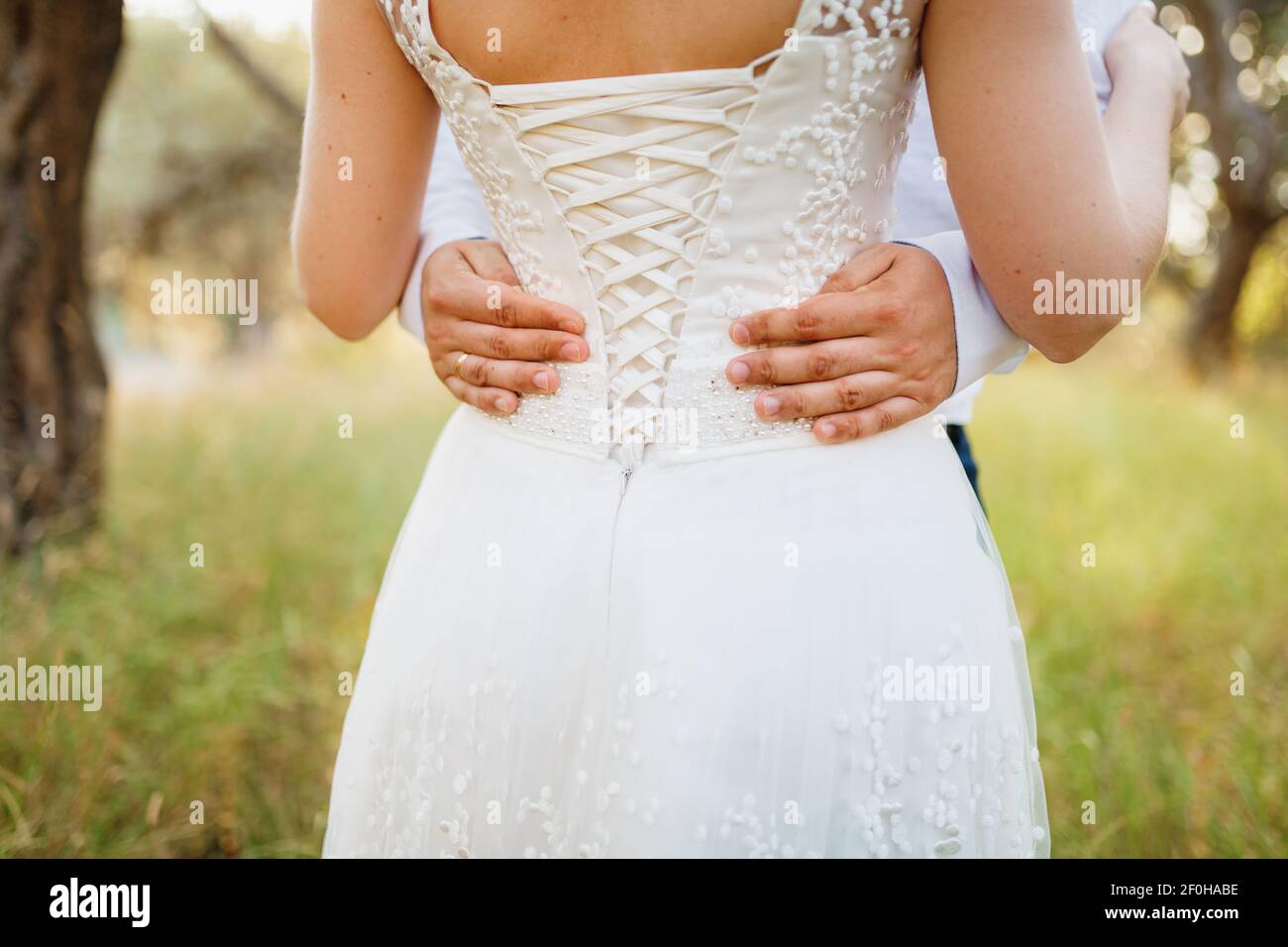 Couple olive trees in park hi-res stock photography and images - Alamy