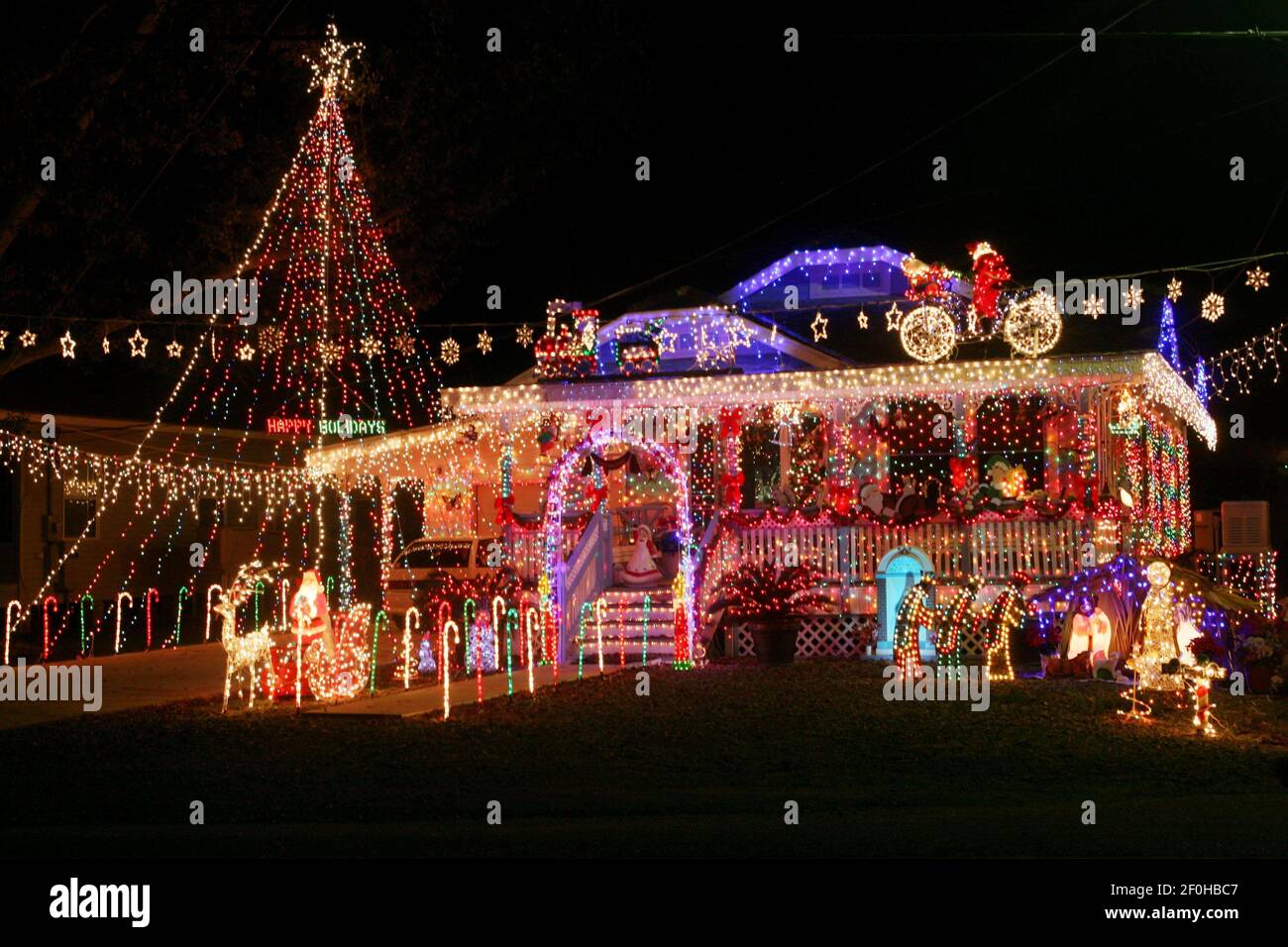 Christmas Lights On The Bayou